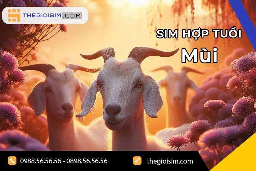 Sim Hợp Tuổi Mùi | Sim phong thủy hợp tuổi Mùi giá chỉ từ【250k】